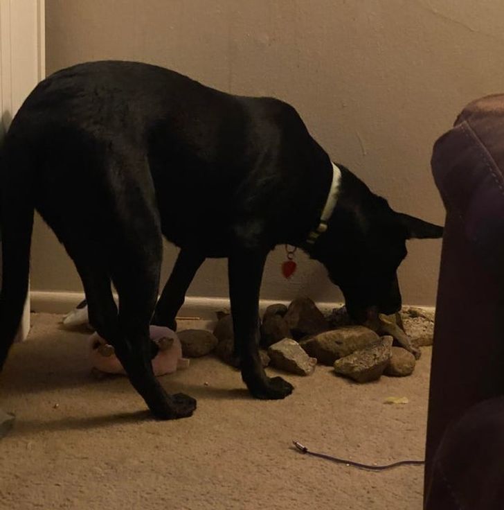 21 – CatDumb – แคทดั๊มบ์ | เล่าเรื่องน่าสนใจ ในแบบที่แมวก็เข้าใจง่ายๆ