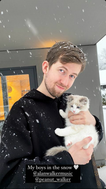 Alan Walker โพสต์ภาพคู่เจ้าเหมียวสุดที่รัก ชาวเน็ตเมนต์กันใหญ่ แต่ “ทรง ...