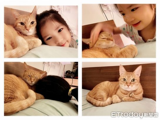 เหมียวสุดจะทน ถูกน้องหอมสลับกับอ่านหนังสือ อ้างทำให้จิตใจสงบ มีสมาธิ… – CatDumb – แคทดั๊มบ์ ...