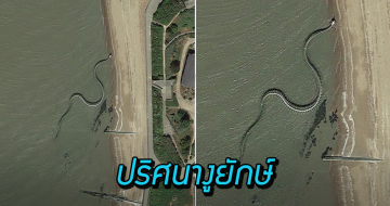 ไขความจริง ภาพ “งูยักษ์” ที่เห็นกันบน Google Maps ที่แท้แล้วมันคือ “งานศิลปะชิ้นใหญ่” – CatDumb ...