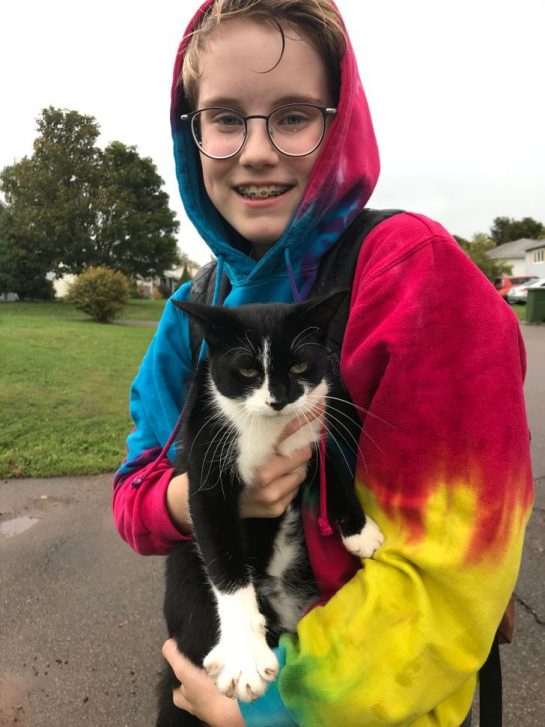 17 ภาพ “แมวเหมียว” ที่ไม่ต้องการให้ทาสมาวุ่นวาย อยากอยู่คนเดียวมากกว่า ...