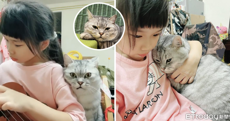 “เหมียวขี้อ้อน” ชอบเกาะติดพี่สาว ทำหน้าบูดเมื่อเห็นเธอสนใจอูคูเลเล่มากกว่า… – CatDumb – แคทด ...