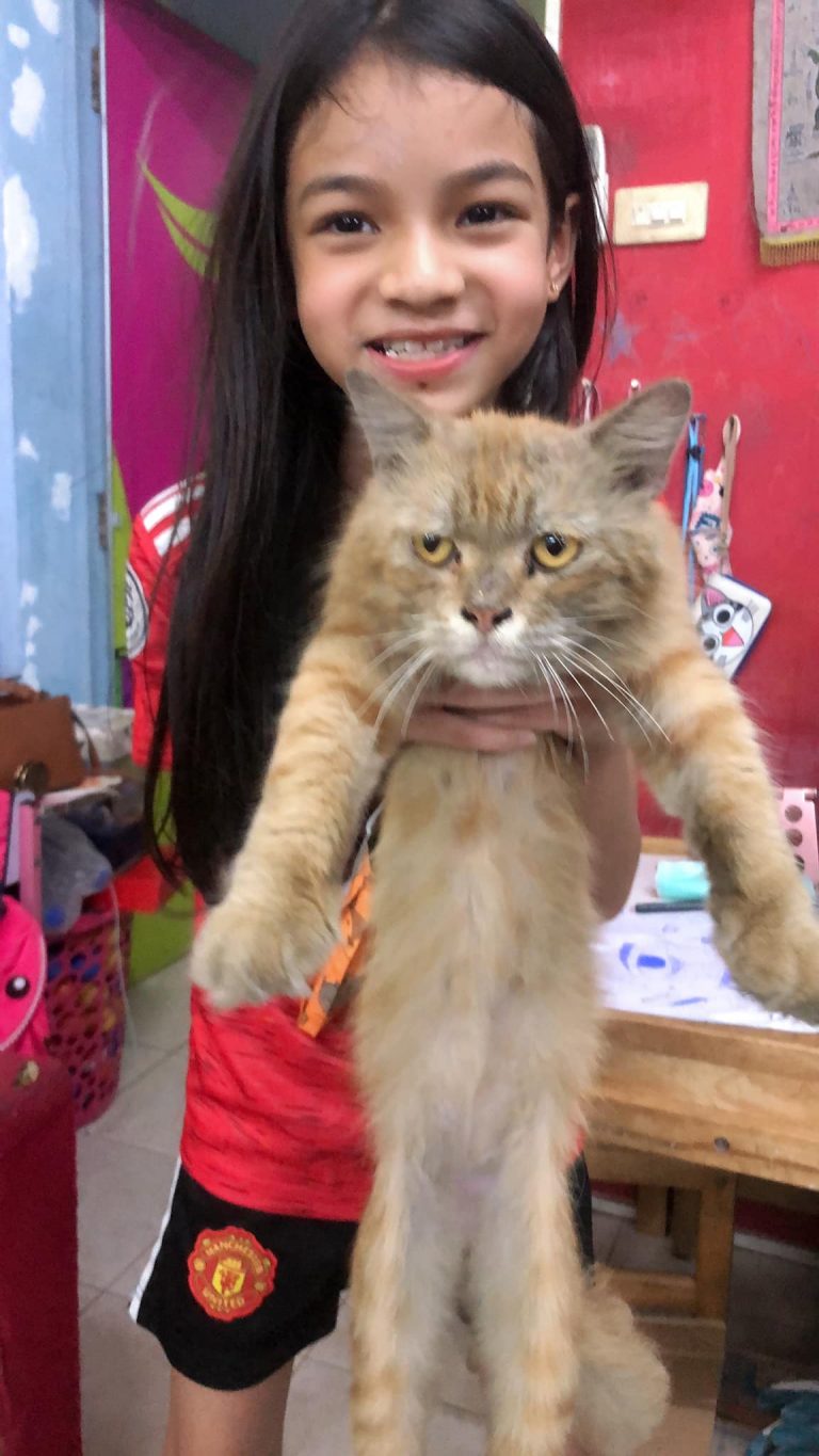 “แมวส้ม” หนีออกจากบ้าน เหตุติดสาวที่อู่ซ่อมรถ กลับมาอีกที ทาสแทบจำไม่ได้!! – CatDumb – แคทดั๊มบ์ ...