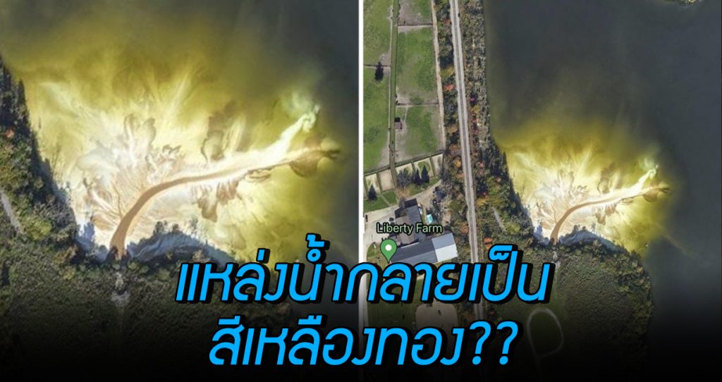 ชาวเน็ตฉงน พบแหล่งน้ำสีเหลืองทองใน Google Maps และยังไม่กระจ่างว่ามันขึ้นได้อย่างไร – CatDumb ...