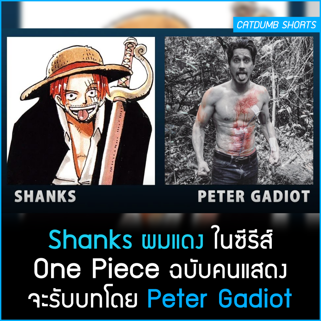 Shanks ผมแดง ในซีรีส์ One Piece ฉบับคนแสดง จะรับบทโดย Peter Gadiot – CatDumb – แคทดั๊มบ์ | เล่า ...