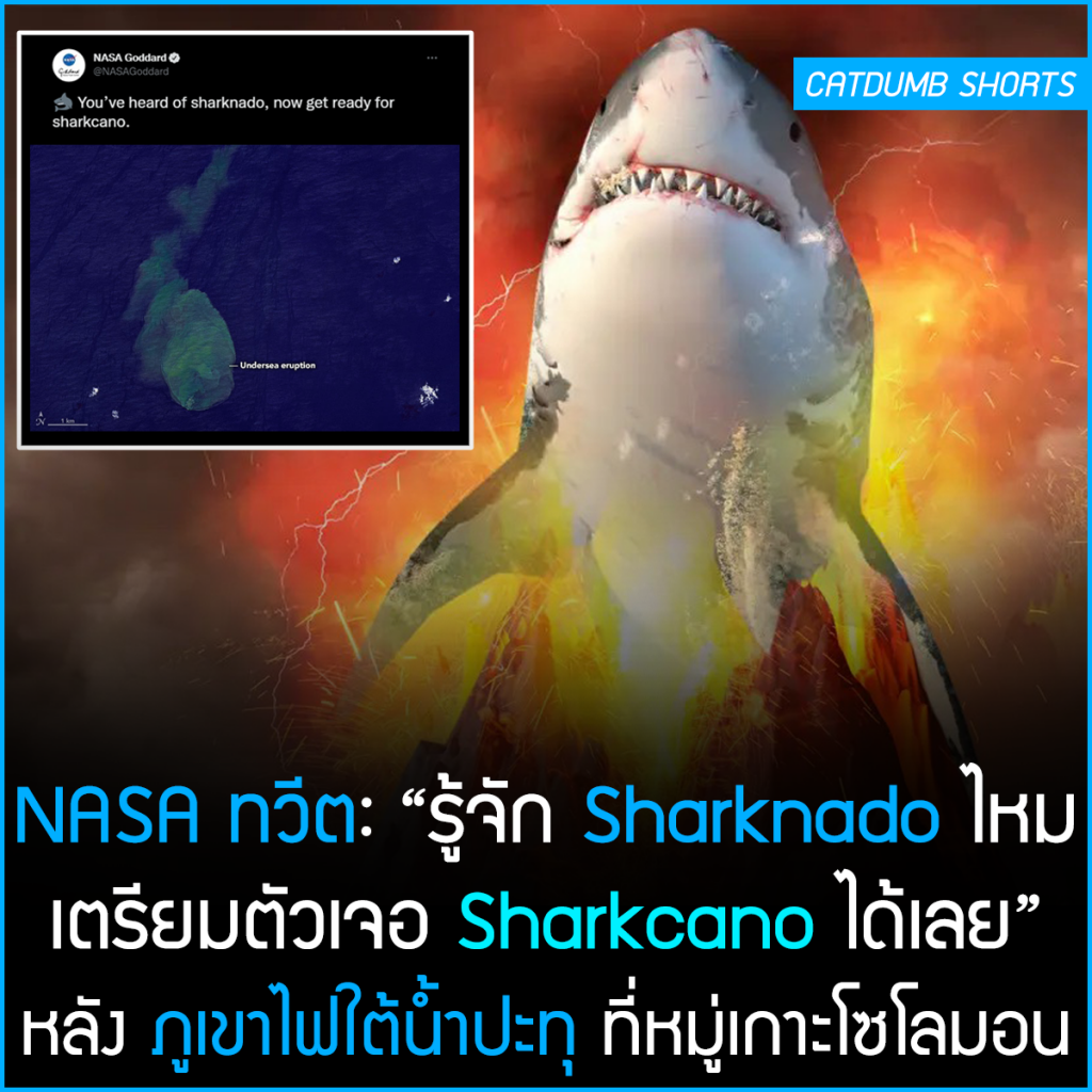 NASA ทวีต: “รู้จัก Sharknado ไหม เตรียมตัวเจอ Sharkcano ได้เลย” หลัง ...