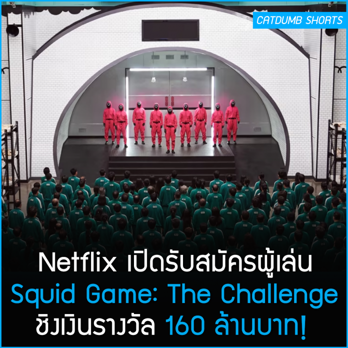 Netflix เปิดรับสมัครผู้เล่น Squid Game: The Challenge ชิงเงินรางวัล 160 ล้านบาท! – CatDumb – แค ...