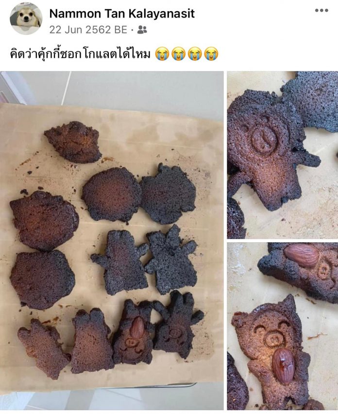 แม่บ้านสู้ชีวิต…สาวแชร์ประสบการณ์ ทำงานบ้านไม่เป็น แต่ก็ยังมีความพยายาม สู้ ๆ นะ!! – CatDumb ...