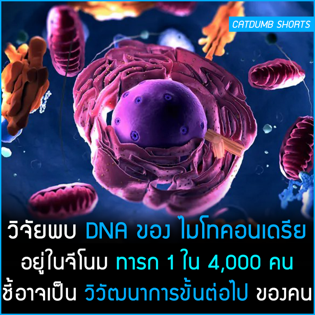 วิจัยพบ DNA ของ ไมโทคอนเดรีย อยู่ในจีโนม ทารก 1 ใน 4,000 คน ชี้อาจเป็น วิวัฒนาการขั้นต่อไป ของคน ...