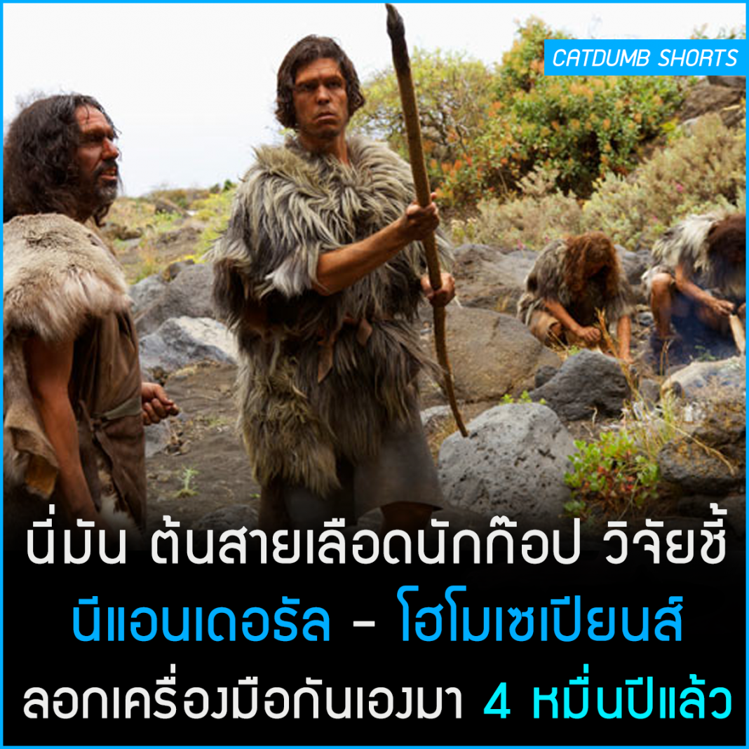 นี่มัน ต้นสายเลือดนักก๊อป วิจัยชี้ นีแอนเดอธัล – โฮโมเซเปียนส์ ลอกเครื่องมือกันเองมา 4 หมื่นปี ...