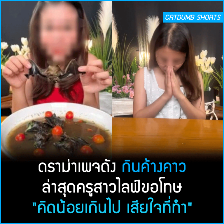 ดราม่าดัง ครูสาวกินค้างคาว ล่าสุดครูสาวไลฟ์ขอโทษ “คิดน้อยเกินไป เสียใจที่ทำ” – CatDumb – แคทด ...
