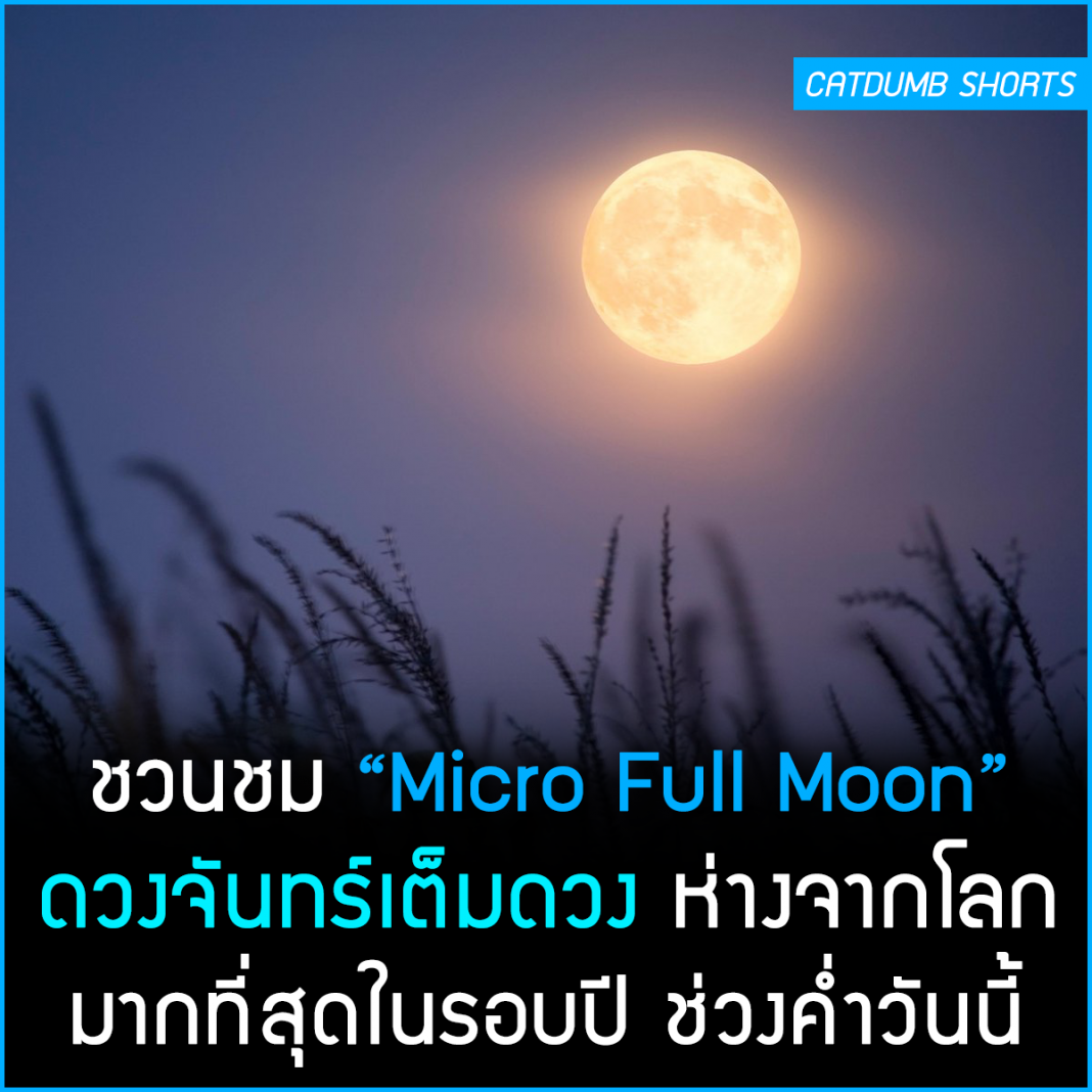 ชวนชม “Micro Full Moon” ดวงจันทร์เต็มดวง ห่างจากโลก มากที่สุดในรอบปี ช่วงคำ่วันนี้ – CatDumb ...