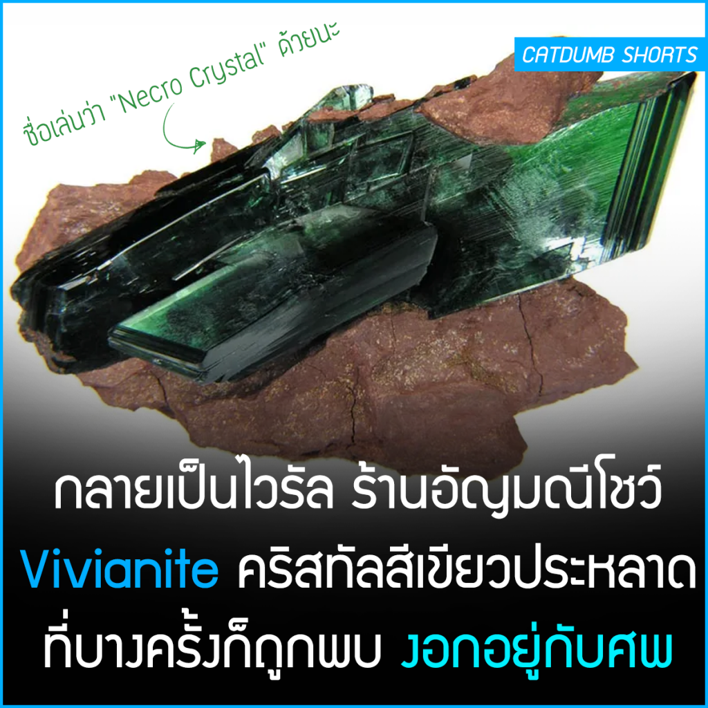 กลายเป็นไวรัล ร้านอัญมณีโชว์ Vivianite คริสทัลสีเขียวประหลาด ที่บาง ...