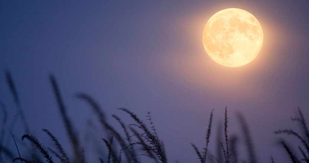 ชวนชม “Micro Full Moon” ดวงจันทร์เต็มดวง ห่างจากโลก มากที่สุดในรอบปี ช่วงคำ่วันนี้ – CatDumb ...
