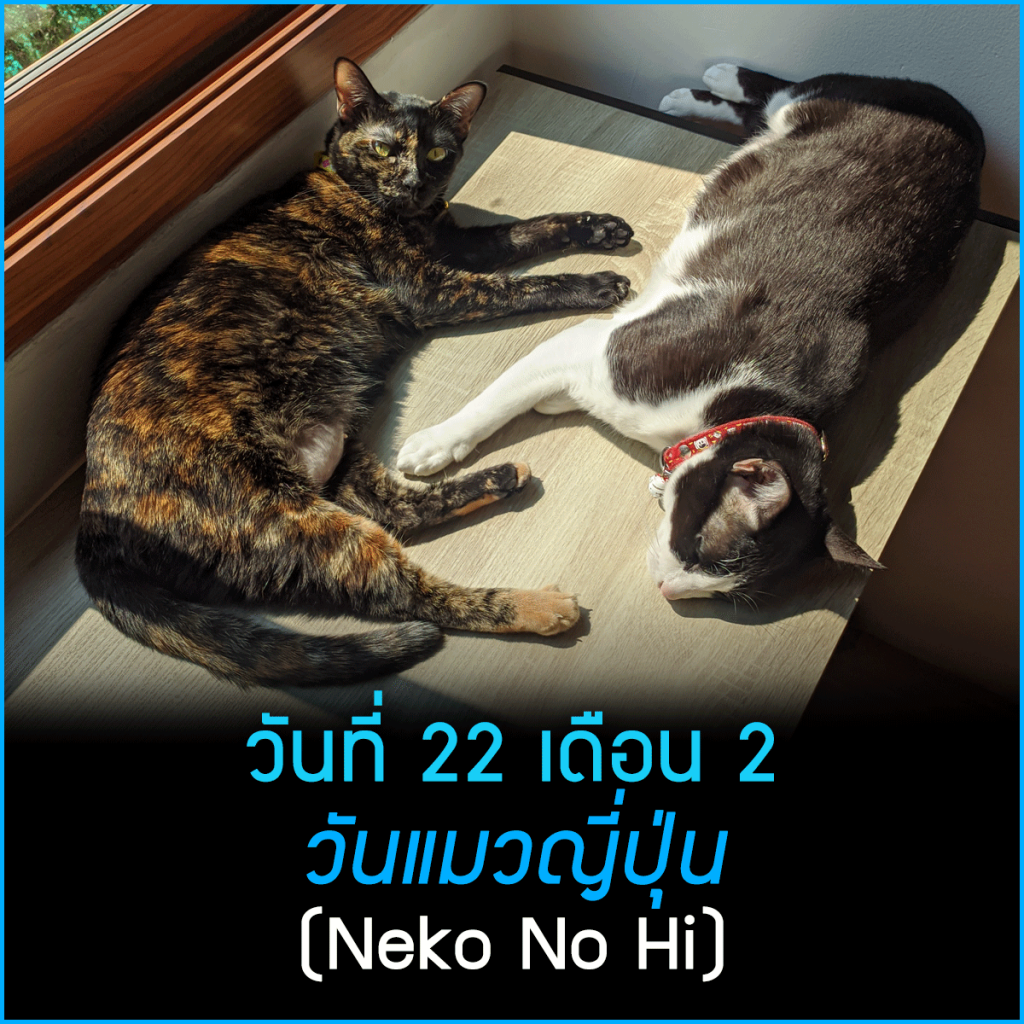 วันที่ 22 เดือน 2 วันแมวญี่ปุ่น (Neko No Hi) – CatDumb – แคทดั๊มบ์ | เล่าเรื่องน่าสนใจ ในแบบที่ ...