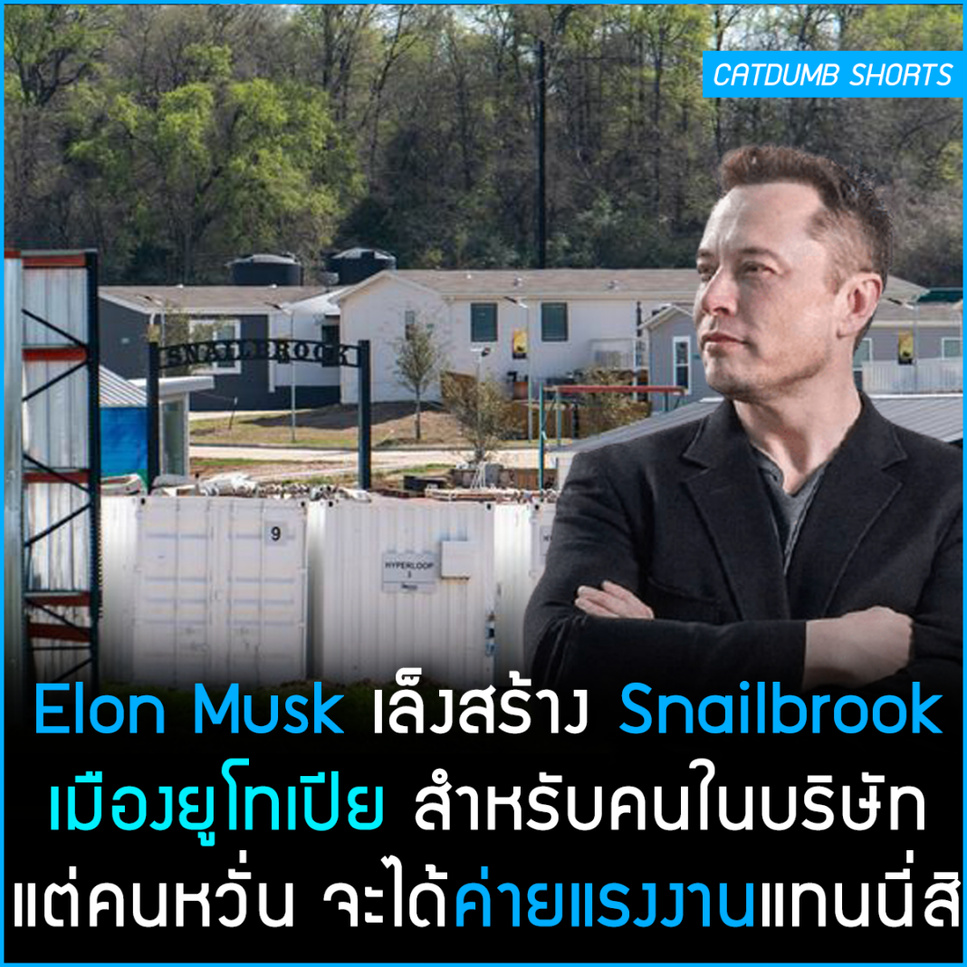 Elon Musk เล็งสร้าง Snailbrook เมืองยูโทเปีย สำหรับคนในบริษัท แต่คน ...