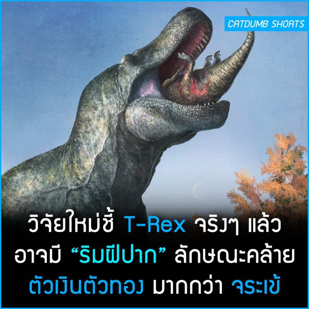 วิจัยใหม่ชี้ T-Rex จริงๆ แล้ว อาจมี “ริมฝีปาก” ลักษณะคล้าย ตัวเงินตัวทอง มากกว่า จระเข้ ...