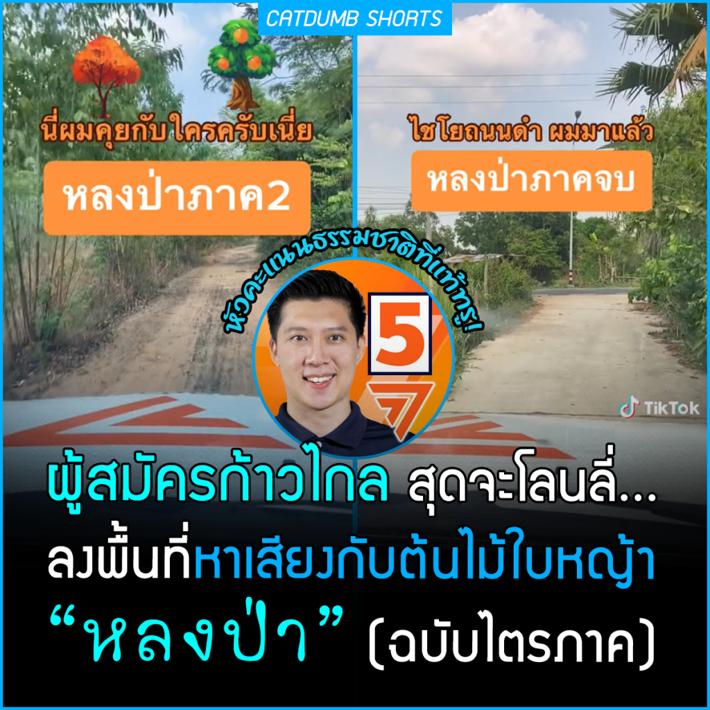 ผู้สมัครก้าวไกล สุดจะโลนลี่… ลงพื้นที่หาเสียงกับต้นไม้ใบหญ้า “หลงป่า” (ฉบับไตรภาค) – CatDumb ...