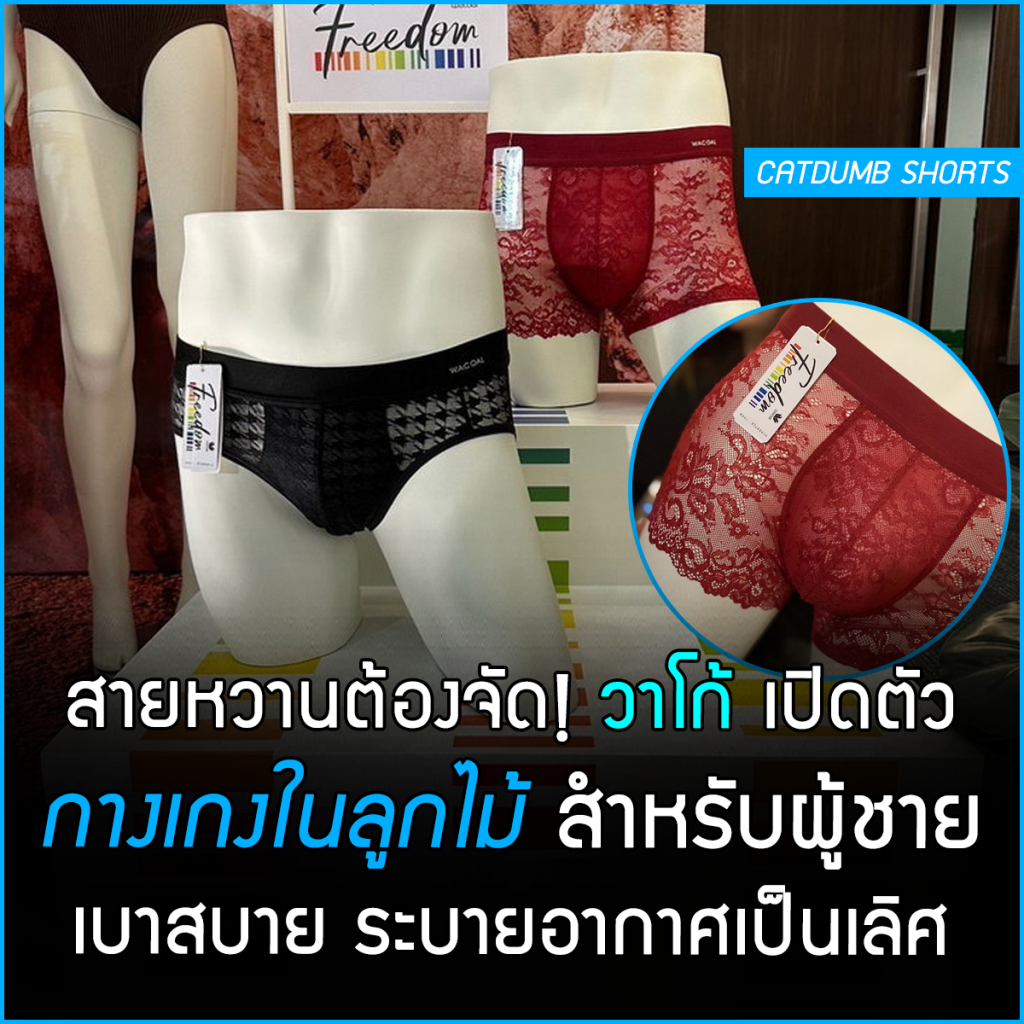 สายหวานต้องจัด! วาโก้ เปิดตัว “กางเกงในลูกไม้” สำหรับผู้ชาย เบาสบาย ระบายอากาศเป็นเลิศ – CatDumb ...