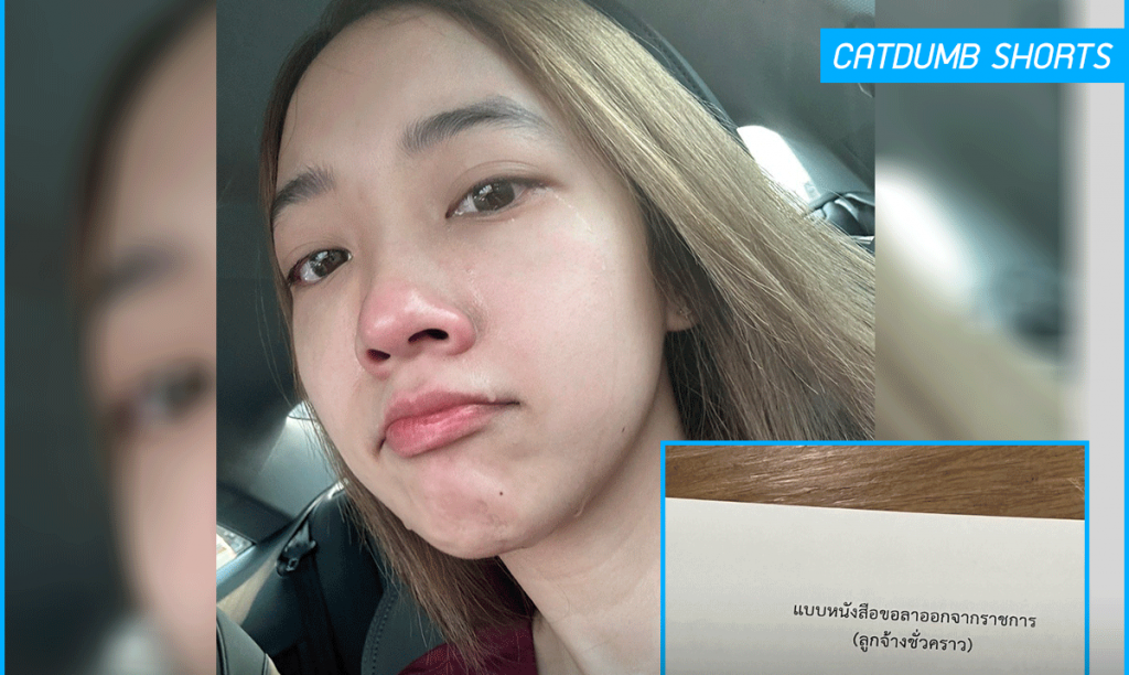 สรุปประเด็น ปุยเมฆ นภสร ยื่นลาออกจาก รพ. รัฐ งานหนัก บั่นทอนสุขภาพกาย-ใจ – CatDumb – แคทดั๊มบ์ ...