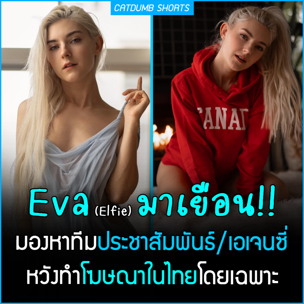 Eva (Elfie) มาเยือน มองหาทีมประชาสัมพันธ์/เอเจนซี่ หวังทำโฆษณาในไทยโดยเฉพาะ – CatDumb – แคทด ...