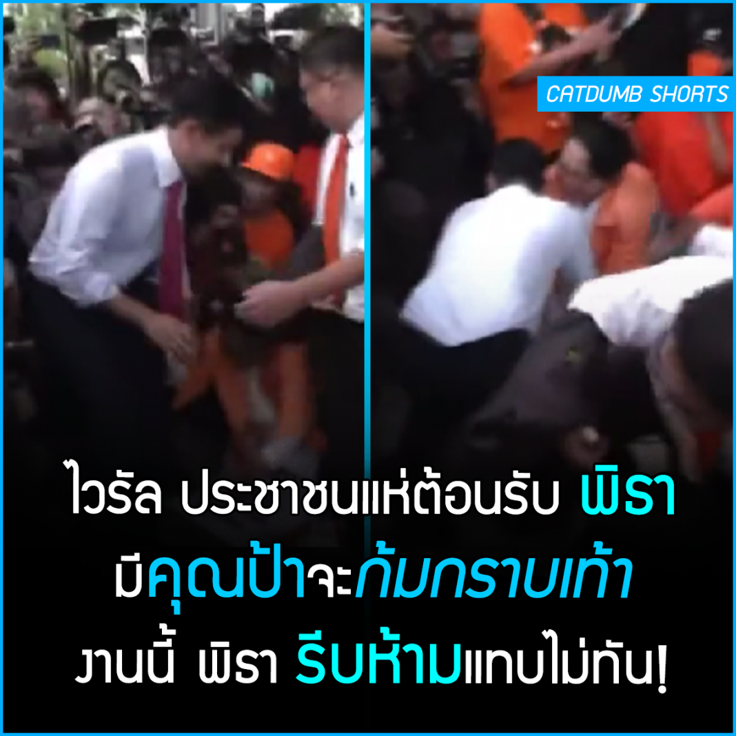 ไวรัล ประชาชนแห่ต้อนรับ พิธา มีคุณป้าจะ “ก้มกราบเท้า” งานนี้ พิธา รีบห้ามแทบไม่ทัน! – CatDumb ...