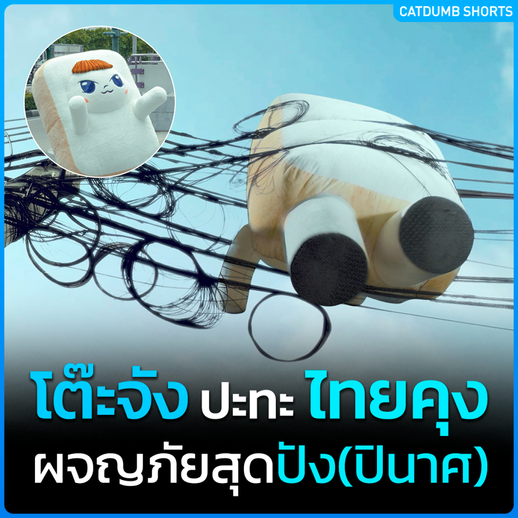 โต๊ะจัง ปะทะ ไทยคุง การผจญภัยสุดปัง(ปินาศ) – CatDumb – แคทดั๊มบ์ | เล่าเรื่องน่าสนใจ ในแบบที่แมว ...