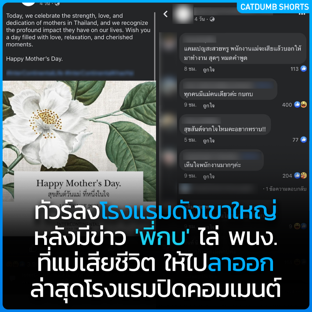 ทัวร์ลงโรงแรมดังเขาใหญ่ หลังมีข่าว ‘พี่กบ’ ไล่ พนง. ที่แม่เสียชีวิต ให้ไปลาออก – CatDumb – แคทด ...