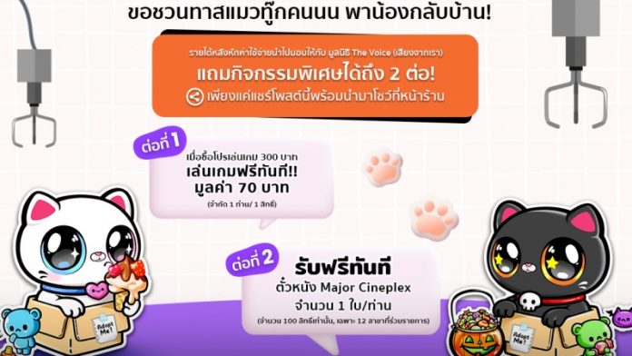 ทาสแมวห้ามพลาด Joyliday ชวนร่วมทำบุญ พาน้อง Orathai Cat กลับบ้าน ของรางวัลเพียบ แถมได้ทำบุญ ...