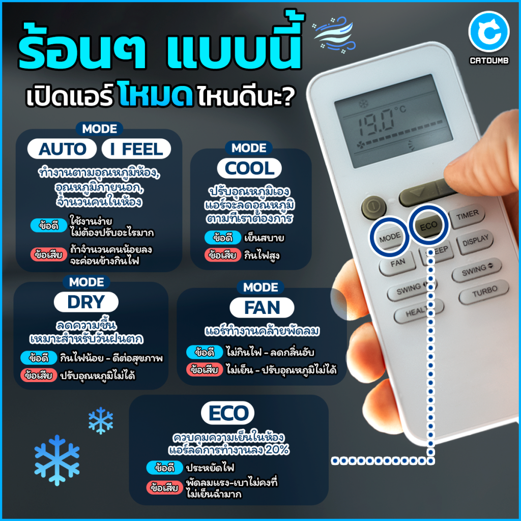 Home 12 – CatDumb – แคทดั๊มบ์ | เล่าเรื่องน่าสนใจ ในแบบที่แมวก็เข้าใจง่ายๆ