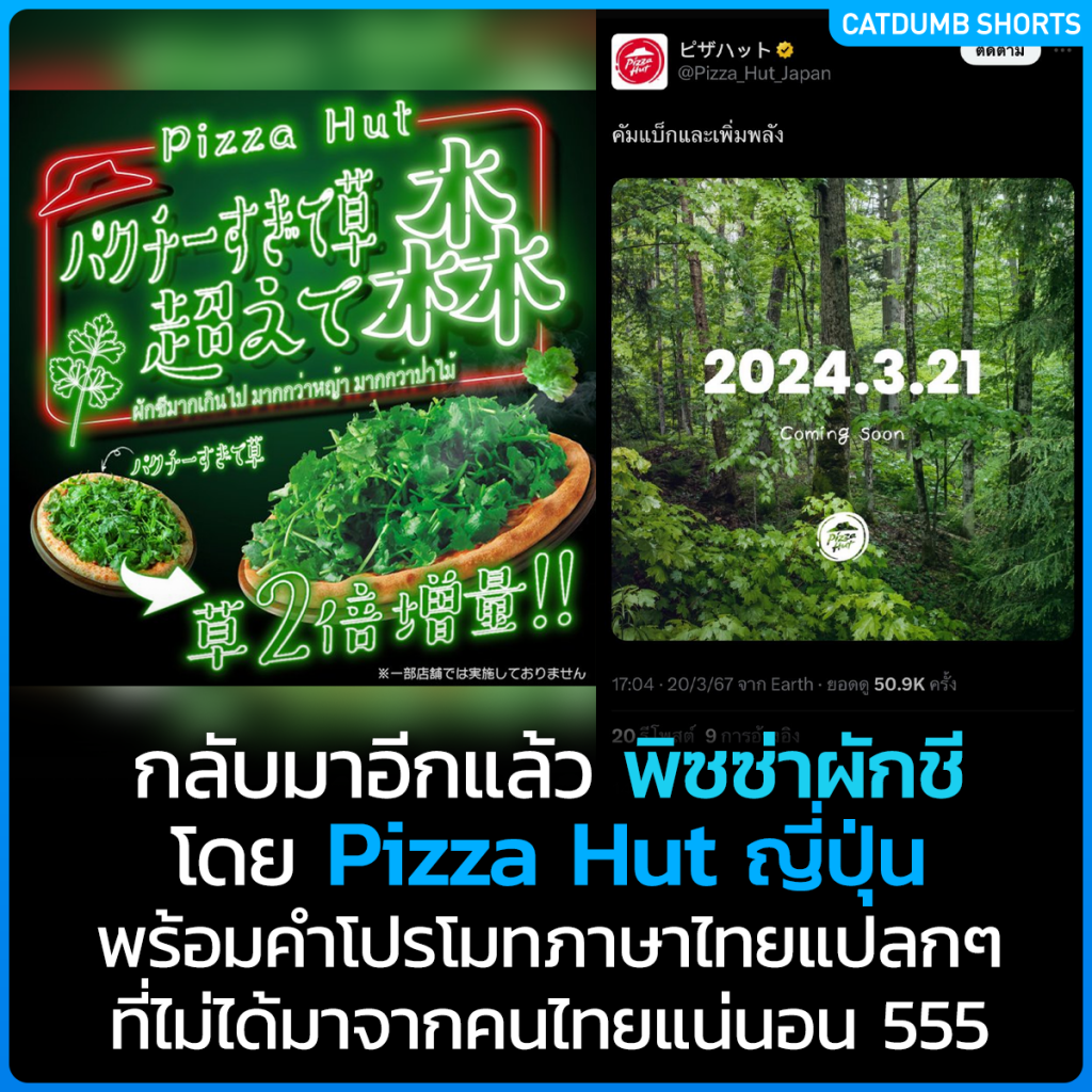 กลับมาอีกแล้ว พิซซ่าผักชี โดย Pizza Hut ญี่ปุ่น พร้อมคำโปรยภาษาไทยแปลกๆ ที่ไม่ได้มาจากคนไทย ...