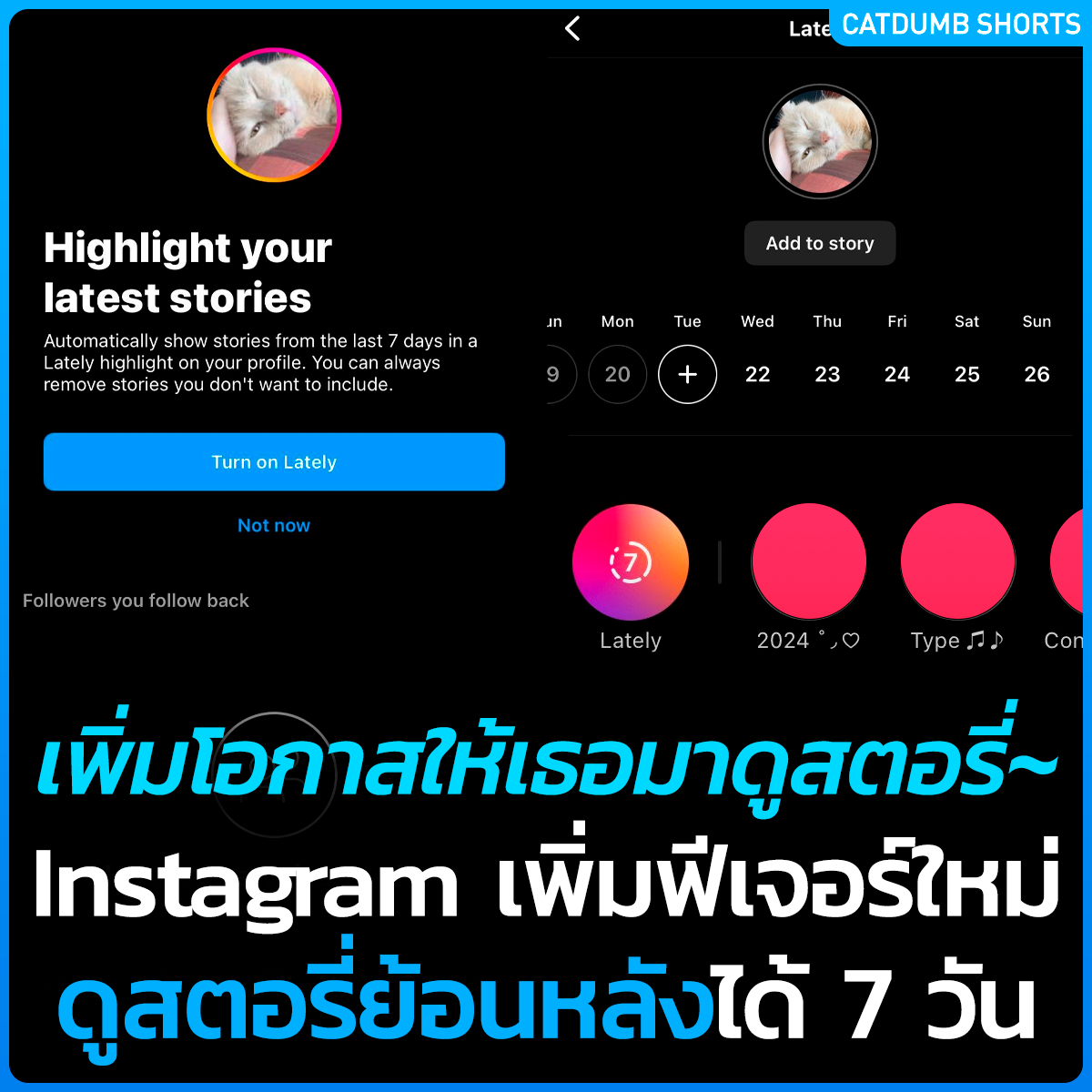 เพิ่มโอกาสให้เธอมาดูสตอรี่~ Instagram เพิ่มฟีเจอร์ใหม่ ดูสตอรี่ย้อนหลังได้ 7 วัน – CatDumb – แค ...