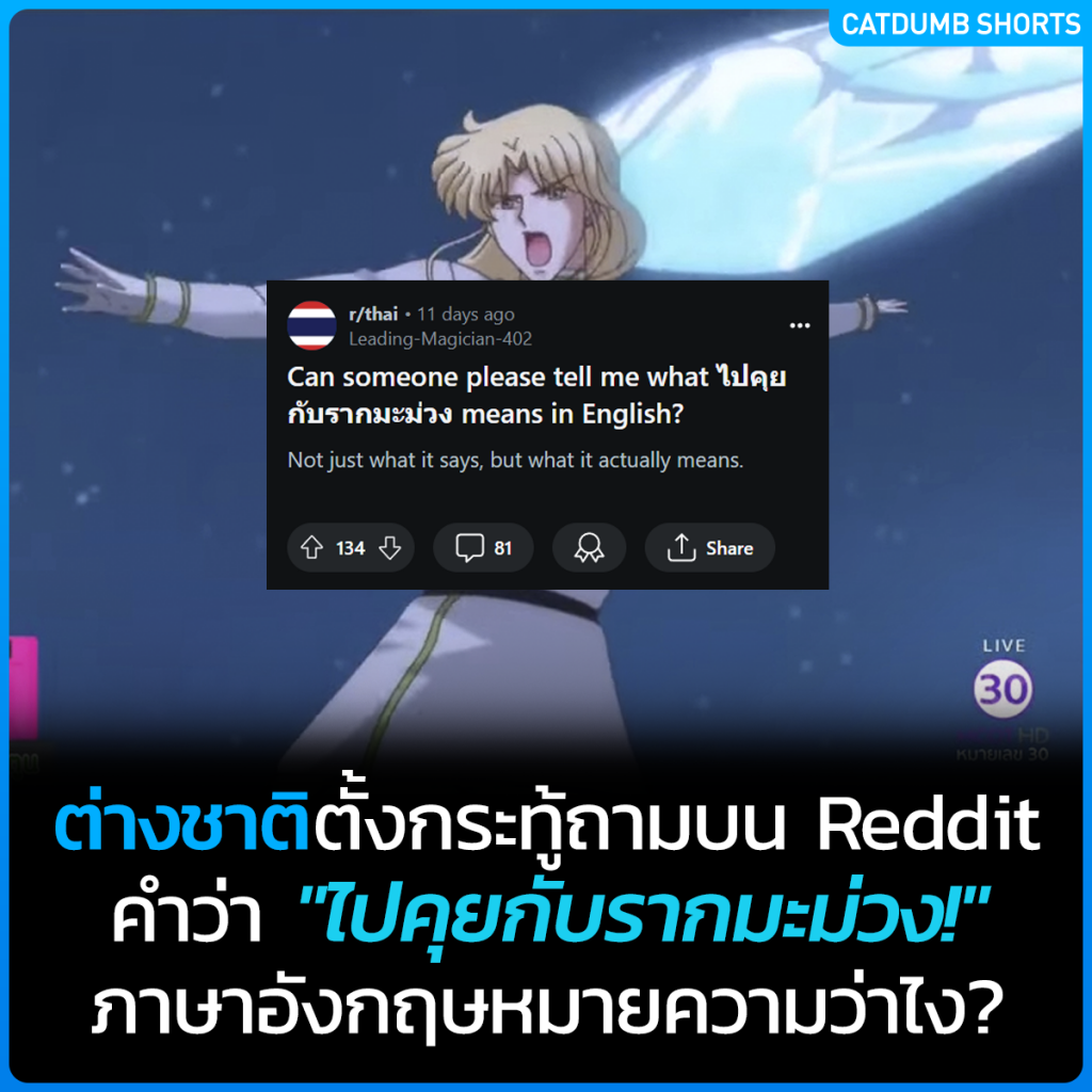 ต่างชาติตั้งกระทู้ถามบน Reddit คำว่า “ไปคุยกับรากมะม่วง!” ภาษาอังกฤษหมายความว่าไง? – CatDumb ...