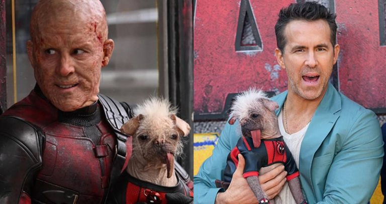 เพ็กกี้ น้องหมาที่ถูกยกให้เป็นสุนัขที่ขี้เหร่ที่สุด กลายเป็นดาราสุดฮอตใน Deadpool & Wolverine ...