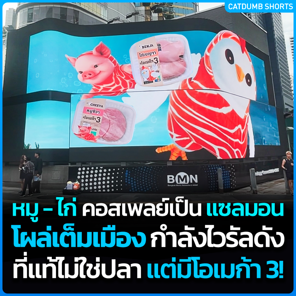 หมู – ไก่ คอสเพลย์เป็น แซลมอน โผล่เต็มเมือง กำลังไวรัลดัง ที่แท้ไม่ใช่ปลา แต่มีโอเมก้า 3 ...
