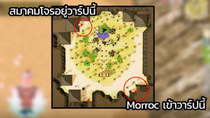 ไม่ต้องแปลกใจ ว่าทำไม Morroc ถึงมีโจร (มิจฯ) ชุม ก็สมาคมโจร ตั้งอยู่แถว ...