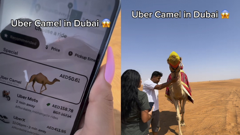 สาวกด Uber กลางทะเลทรายเจอ อูเบอร์อูฐ กดแล้วมาจริง! อย่างเฟี้ยว น่าจะมี ...