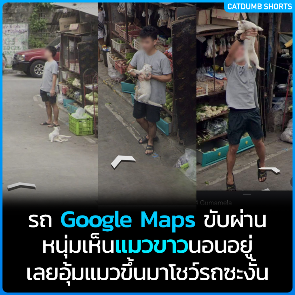 หนุ่มฟิลิปปินส์ เจอรถ Google Maps ขับผ่าน อุ้มแมวขาวขึ้นมาโชว์เฉย – CatDumb – แคทดั๊มบ์ | เล่า ...