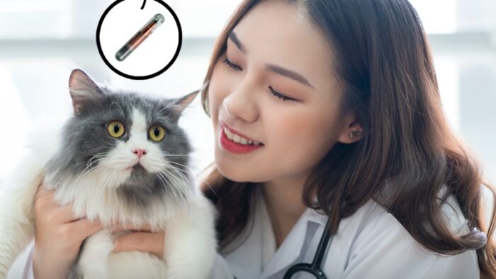 พาน้อง ๆ ไปจดทะเบียนสัตว์เลี้ยง ฝังไมโครชิป-ฉีดวัคซีน ฟรี!! วันนี้ – 29 พ.ค. ที่งาน PAW WORLD ...